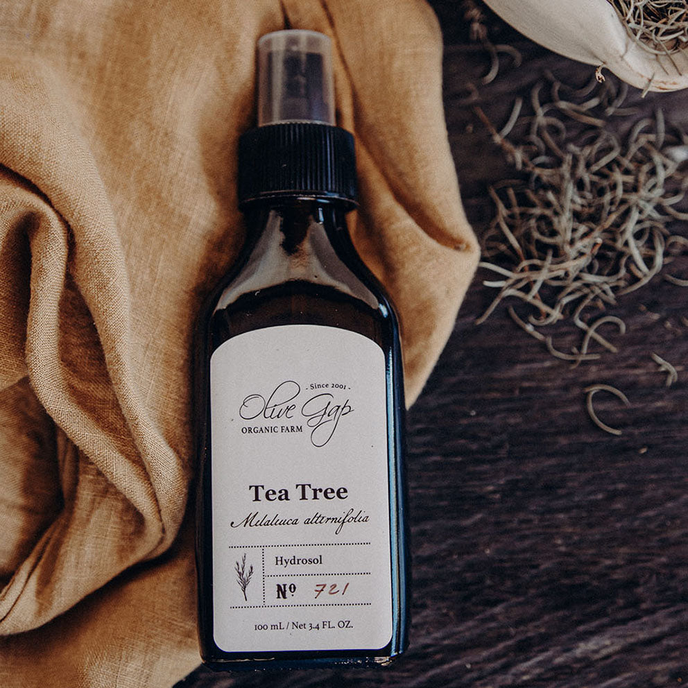 Tea Tree Hydrosol | Olive Gap Organic Farm